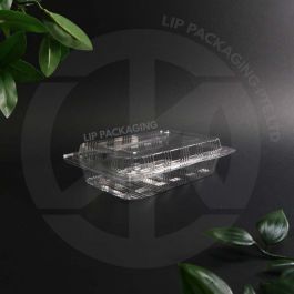 OP2H Transparent OPS Hinged Box (137x90mm) | Food Takeaway SG ...