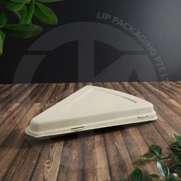 Triangular Sugarcane Container – Industrial & Food Packaging Products